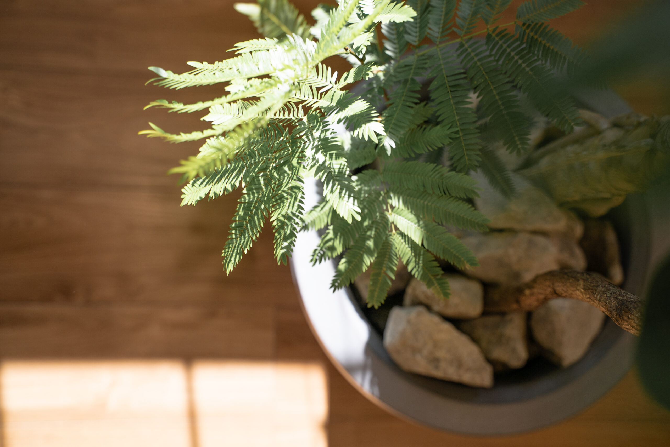 Work – ARO Inc | 植栽空間設計,施工