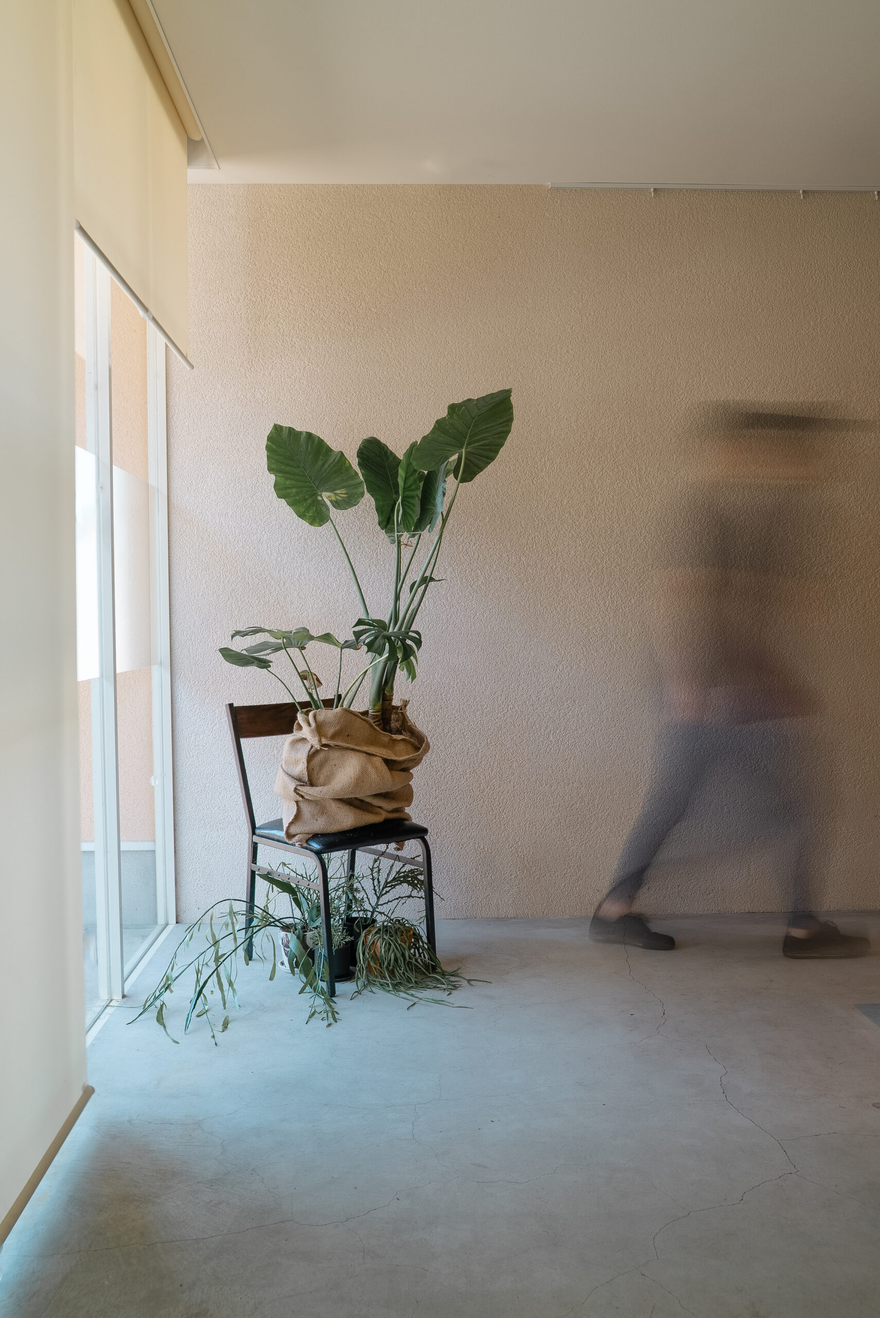 Home – ARO Inc 植栽空間設計 | 施工