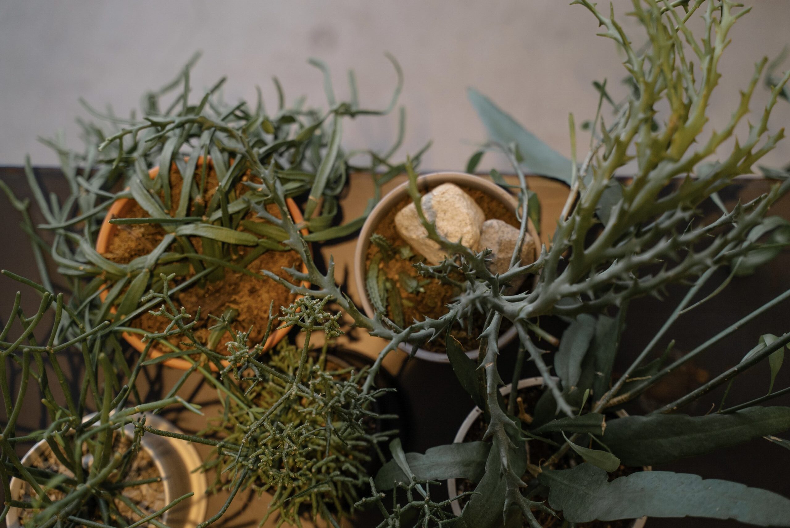 Work – ARO Inc | 植栽空間設計,施工