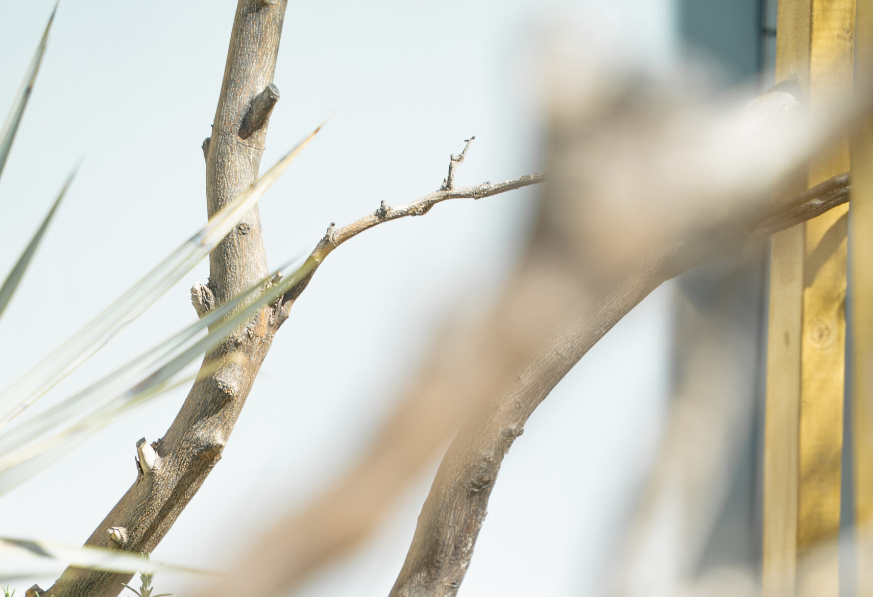 Work – ARO Inc | 植栽空間設計,施工